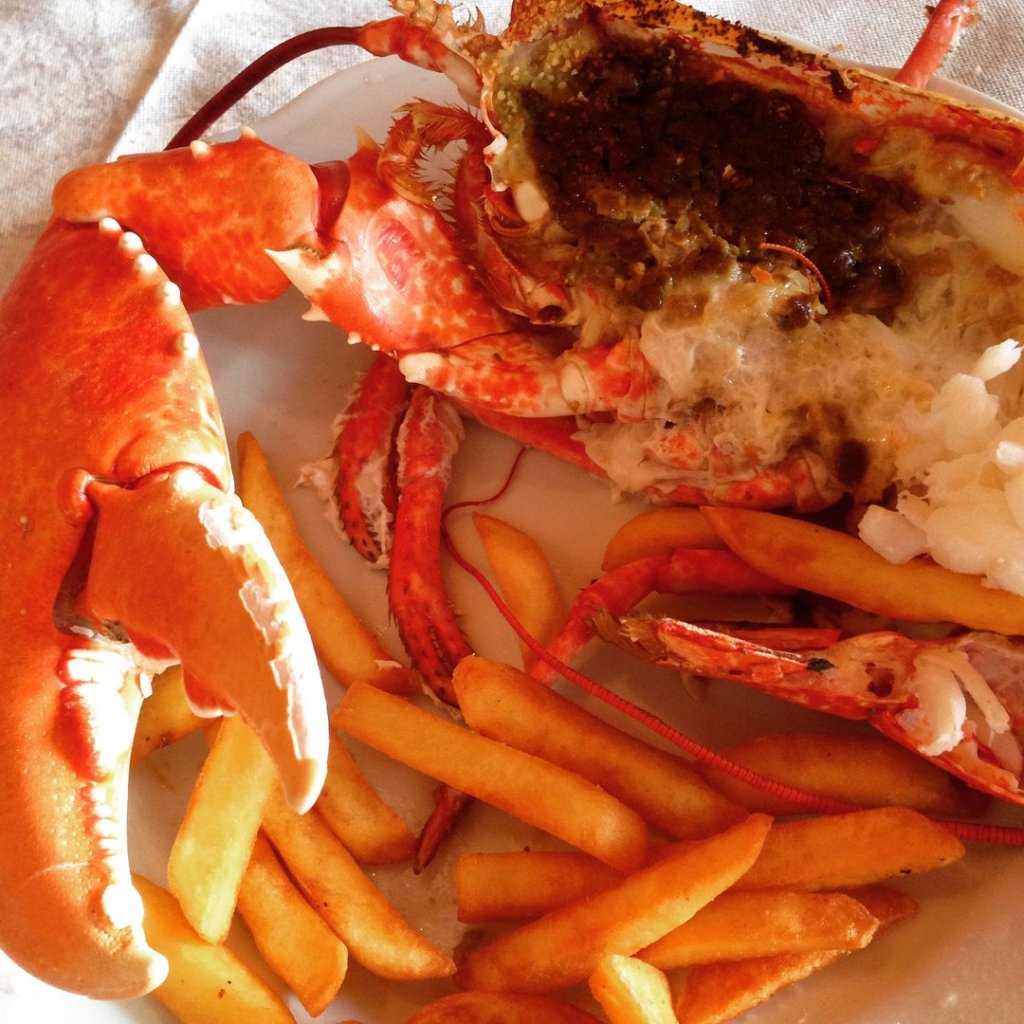 Comment cuire un homard ? Bouillon/vapeur/grillé au four