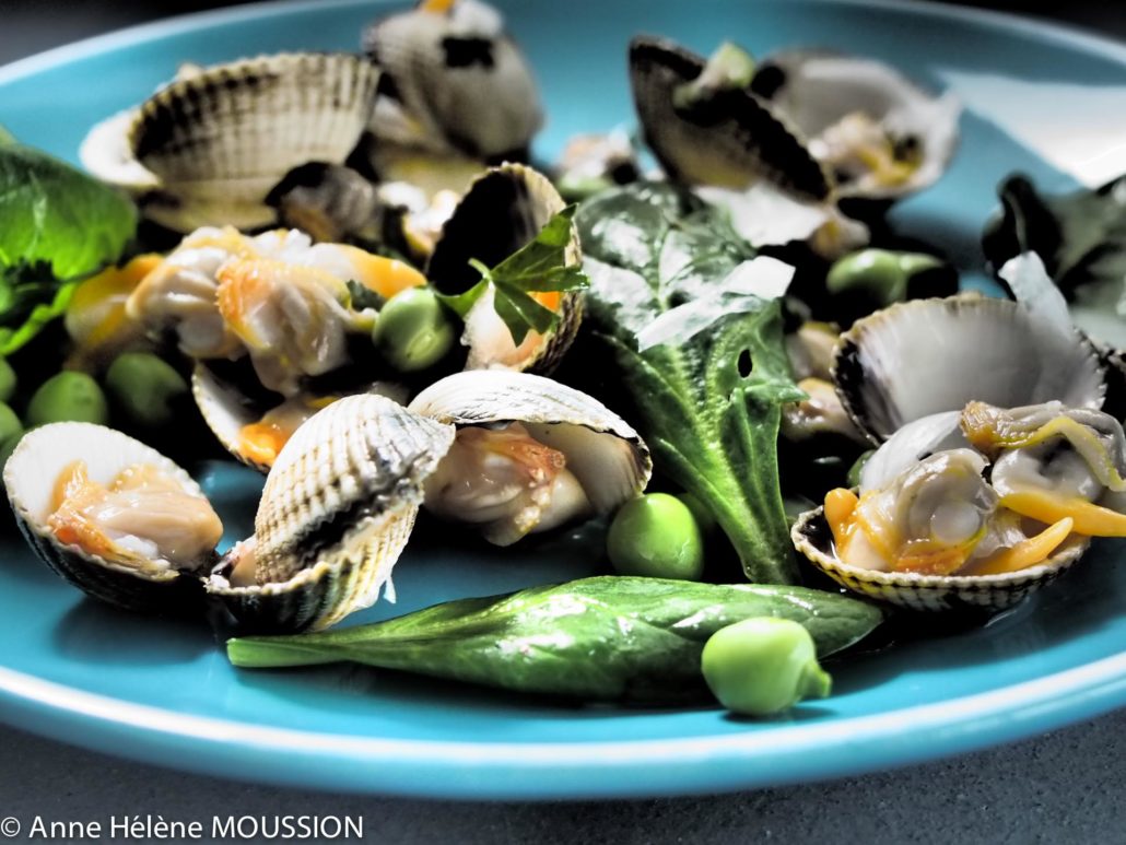 Comment nettoyer et cuisiner des coques